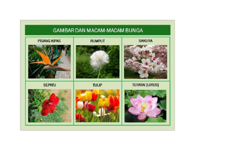 Gambar Bunga | PDF