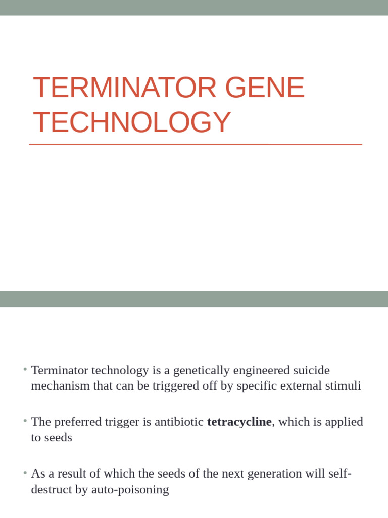 Terminator Gene Technology | PDF | Repressor | Gene