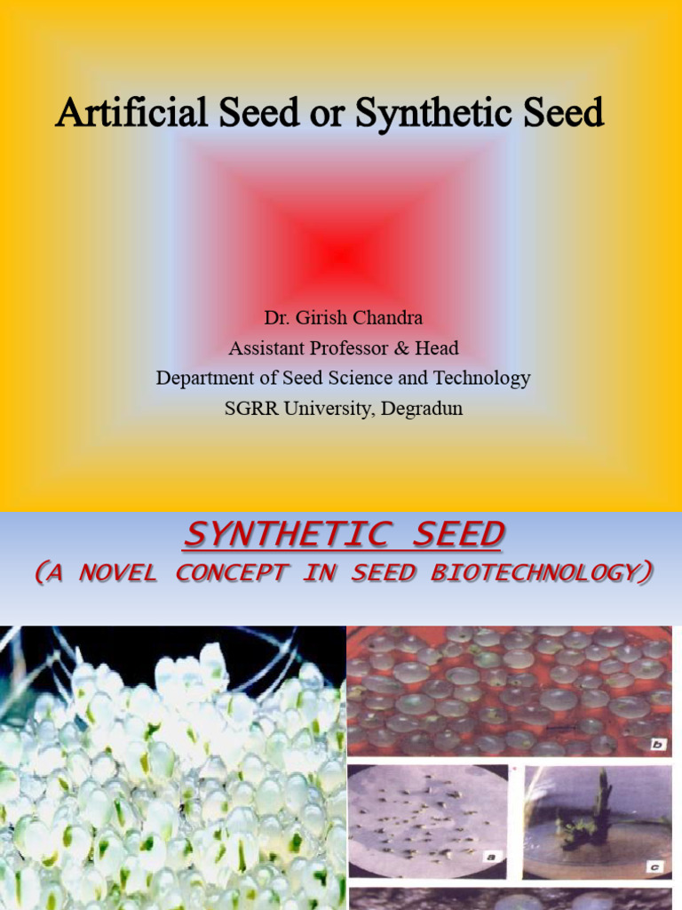 Synthetic Seed Dr. Girish | PDF | Seed | Embryo