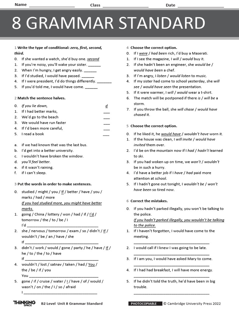 THKSP ES B2 Grammar Standard Unit 8 | PDF