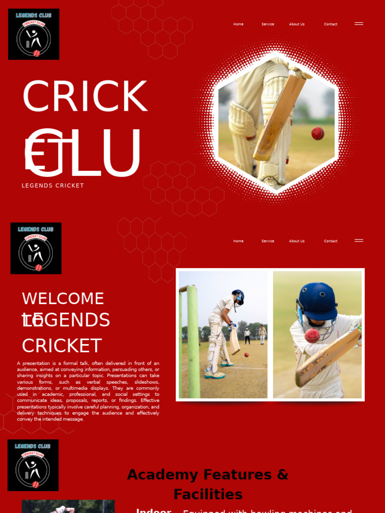 Legends Cricket Academy Overview | PDF | Art