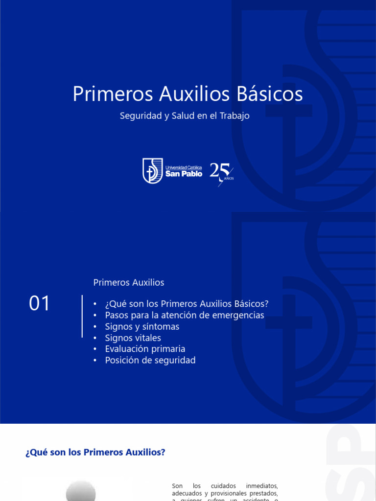 Primeros Auxilios Basicos | PDF | Reanimación cardiopulmonar | Primeros auxilios