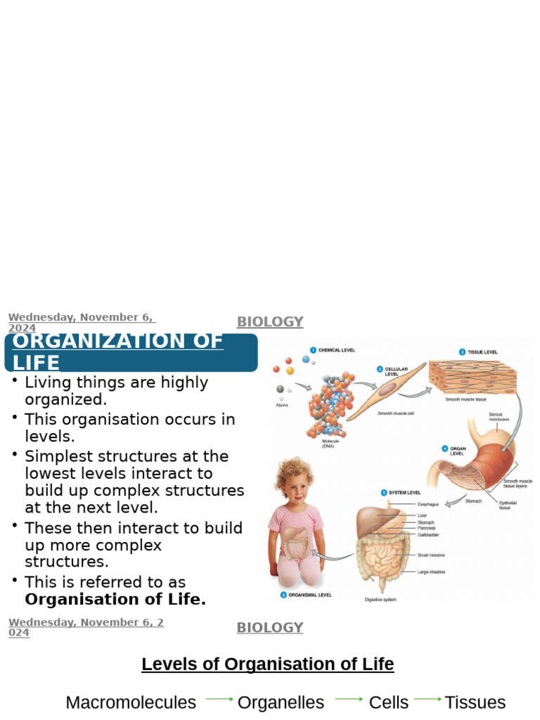 Organisation of Life | PDF | Cell (Biology) | Tissue (Biology)