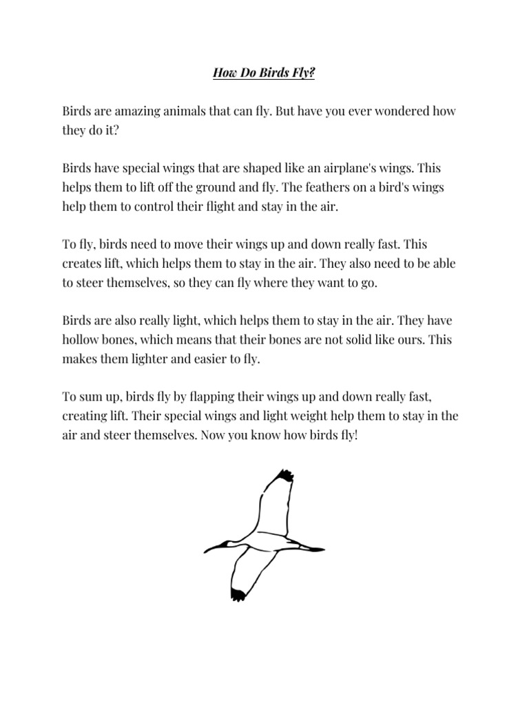 How Birds Fly: Key Features Explained | PDF | Travel | Home & Garden