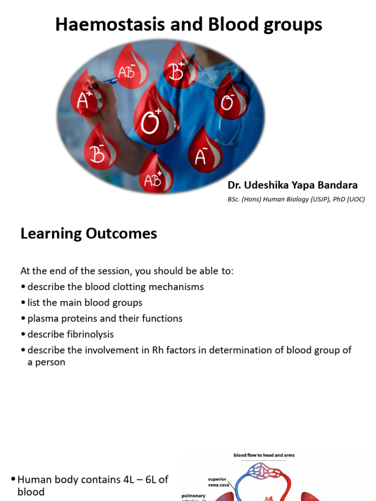 3 - Blood Lecture 3 (Clotting) | PDF | Coagulation | Platelet
