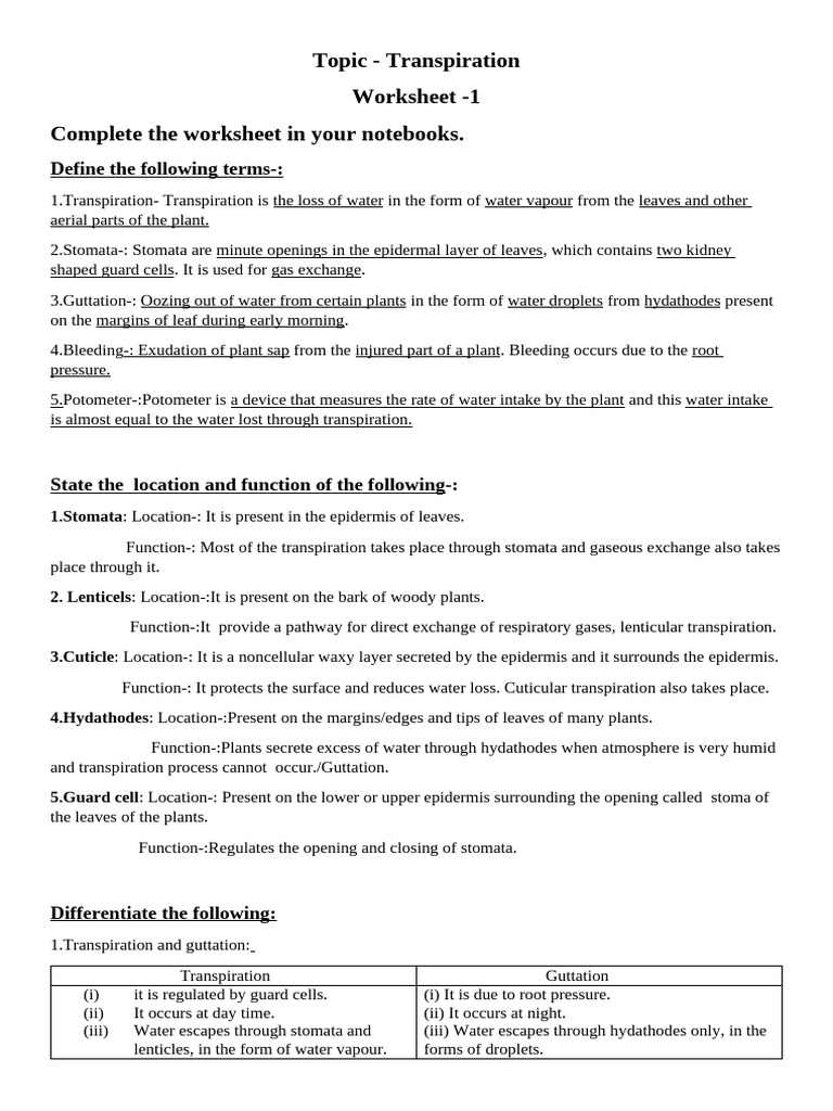 Topic - Transpiration, Worksheet 1. | PDF | Stoma | Leaf