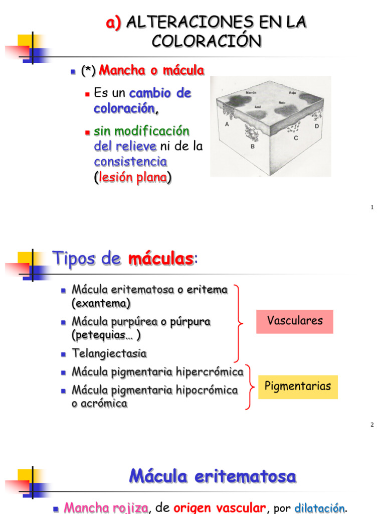Material Complementario Tema 3 TBE | PDF | Piel | Medicina CLINICA