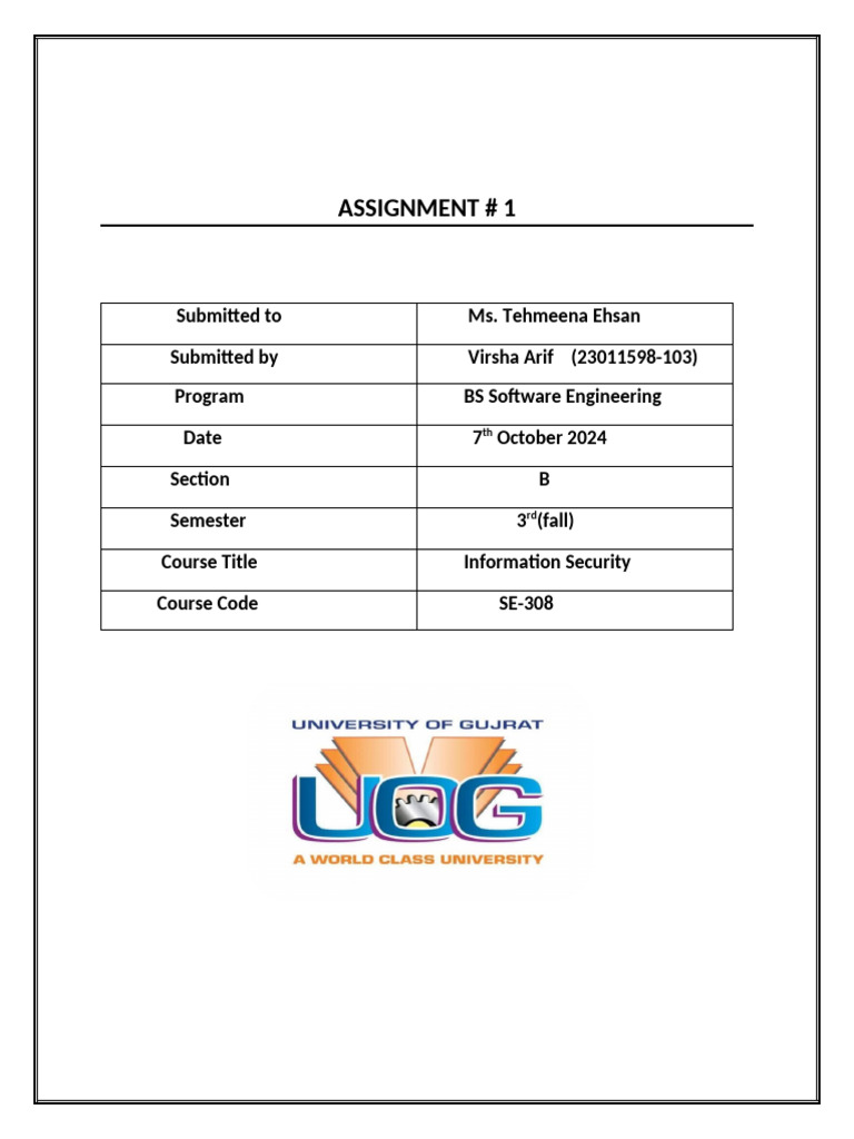 Information Assignment 1 | PDF | Security | Computer Security