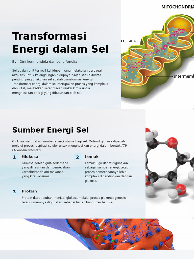 Proses Transformasi Energi Sel | PDF
