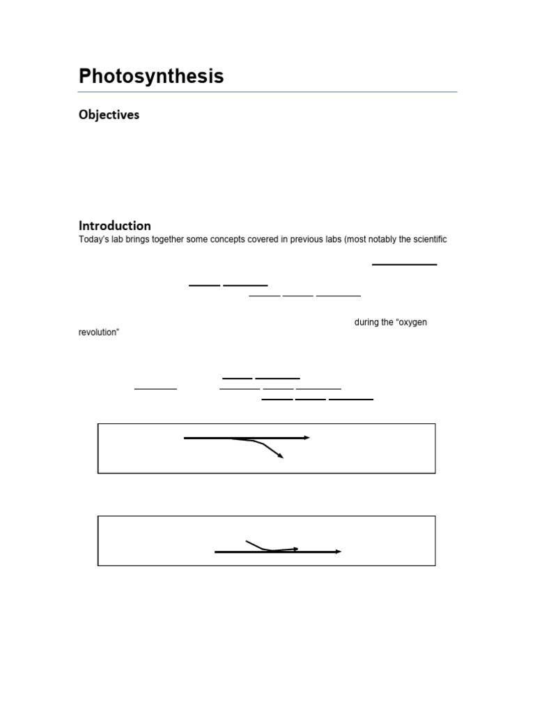 Photosynthesis Lab Guide | PDF | Photosynthesis | Stoma