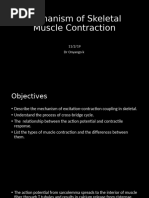 Steps of the Cross Bridge Cycle | PDF | Muscle Contraction ...