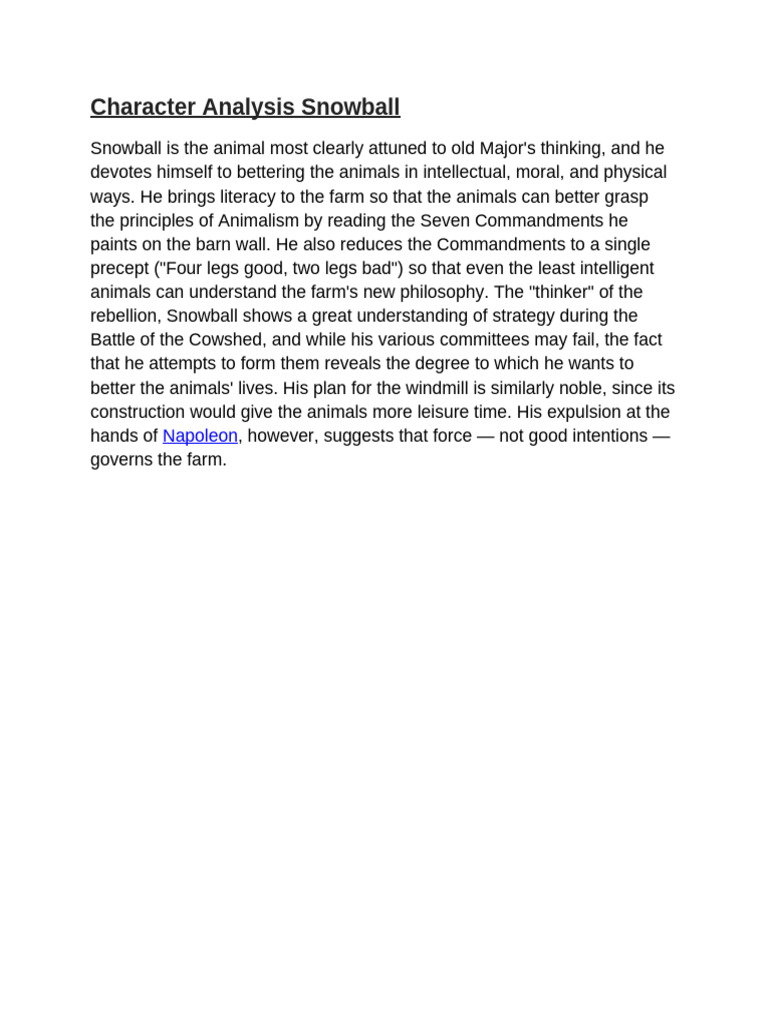 Character Analysis Snowball | PDF