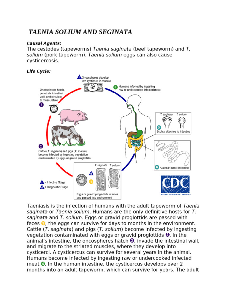 Cestode Life Cycle: Taenia & Diphyllobothrium | PDF | Medical ...