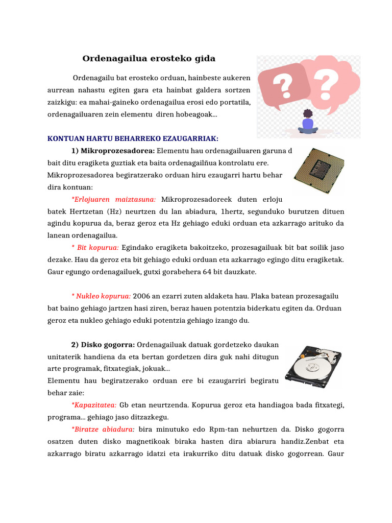 Ordenagailua Erosteko Gida | PDF