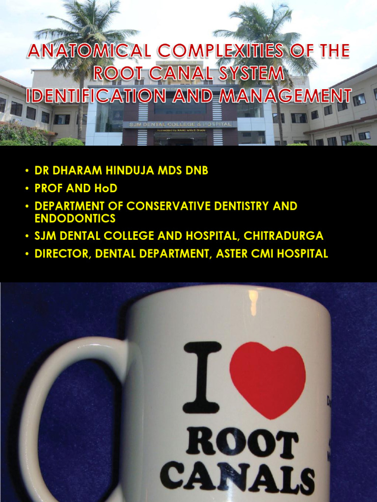 Root Canal Anatomy: Identification & Management | PDF | Dentistry ...