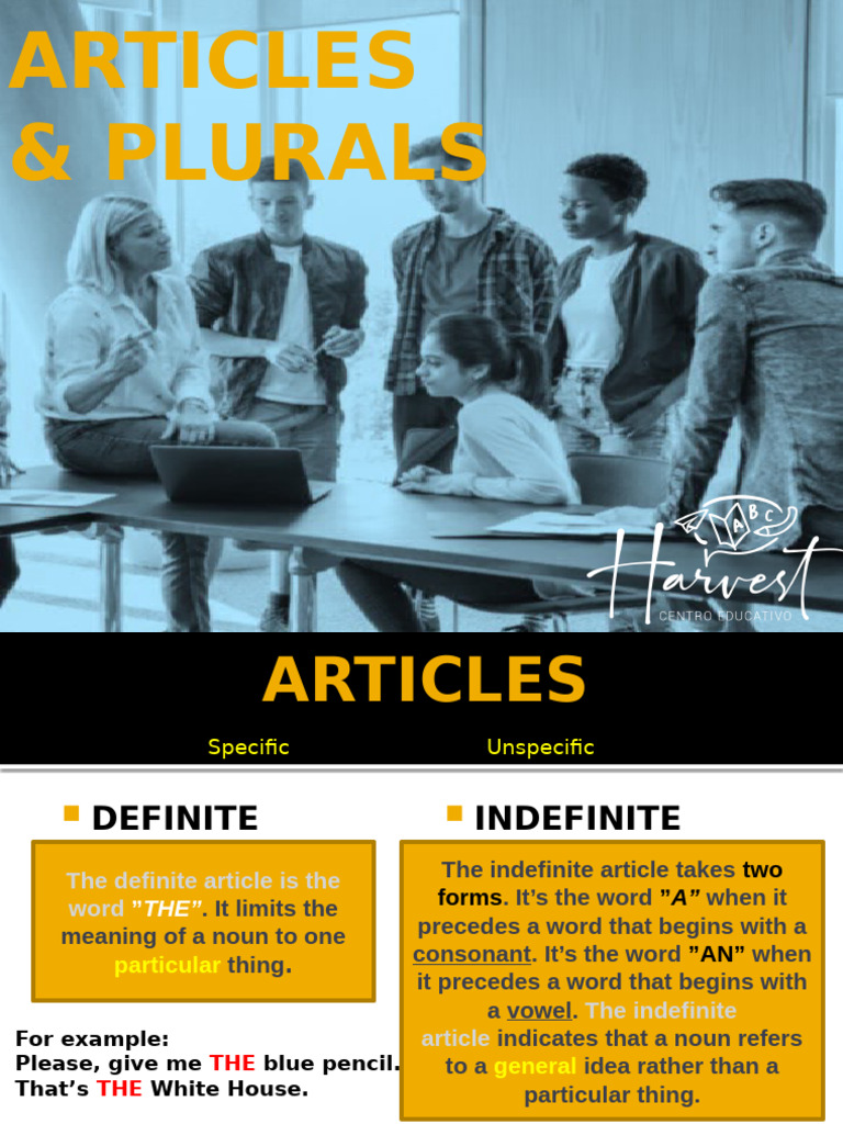 Articles and Plurals | PDF