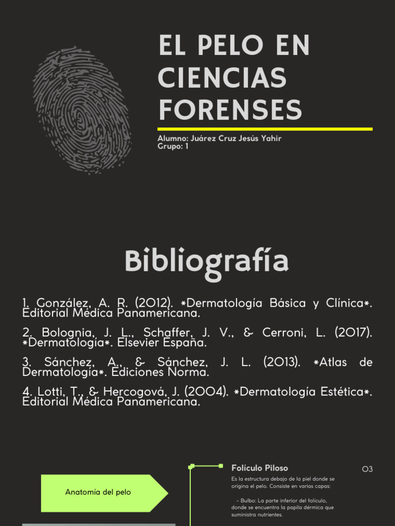 Funciones y Anatomía del Cabello | PDF | Pelo | Sistema tegumentario