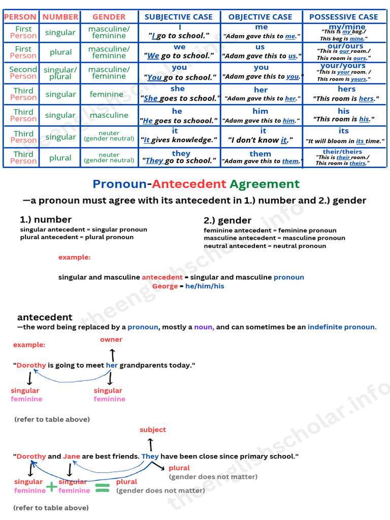 Pronoun-Antecedent Agreement Exercises | PDF | Grammatical Gender ...