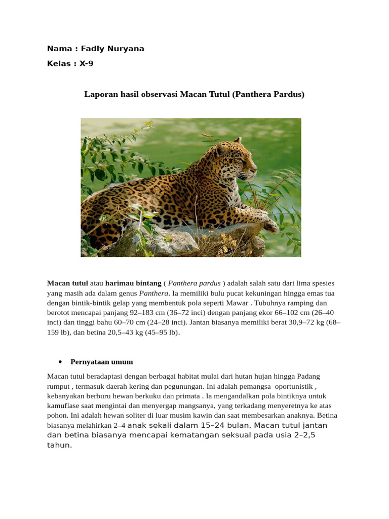 Laporan Observasi Macan Tutul | PDF | Griya & Taman | Klasik