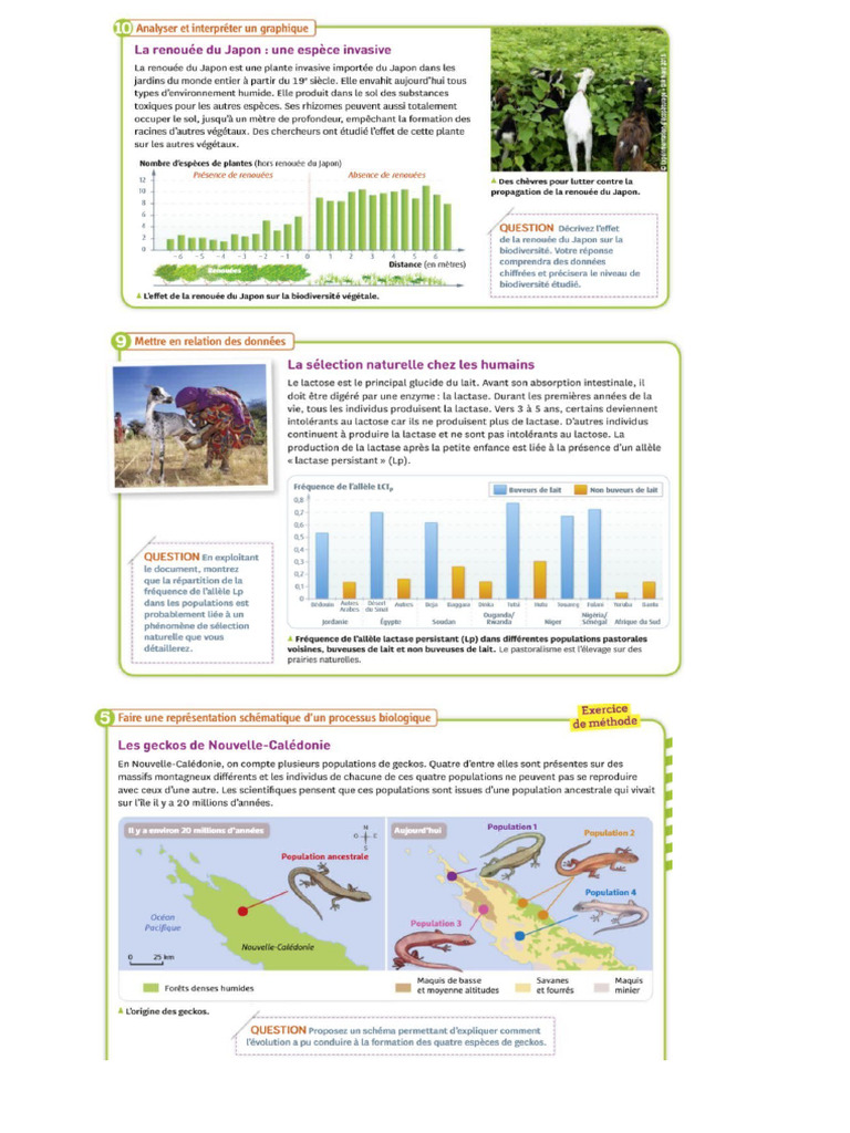 Exercices de Révisions Du Chapitre 2 | PDF