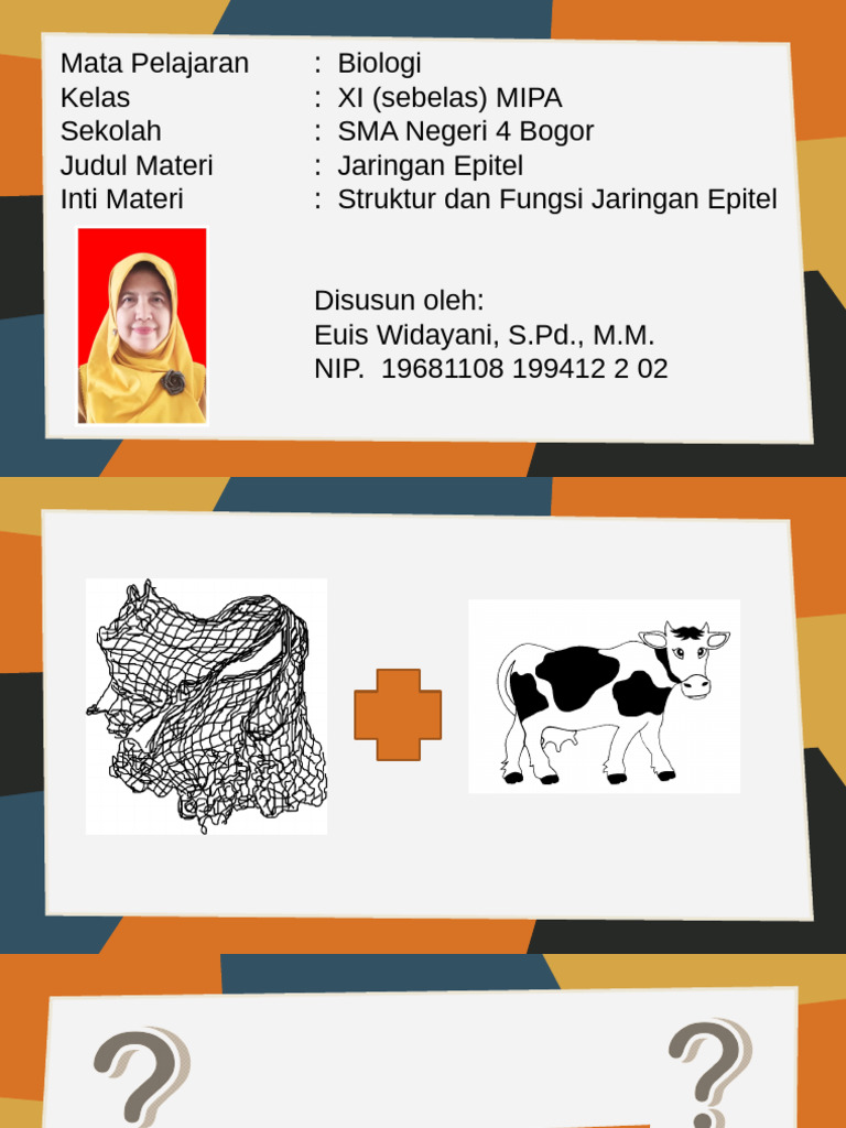 Struktur dan Fungsi Jaringan Epitel | PDF | Pengembangan Diri ...