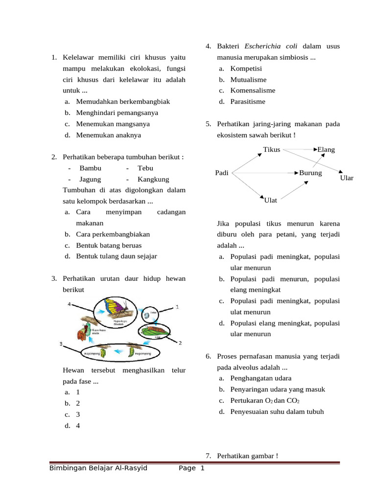 Soal To SD Al-Rasyid | PDF | Sains & Matematika