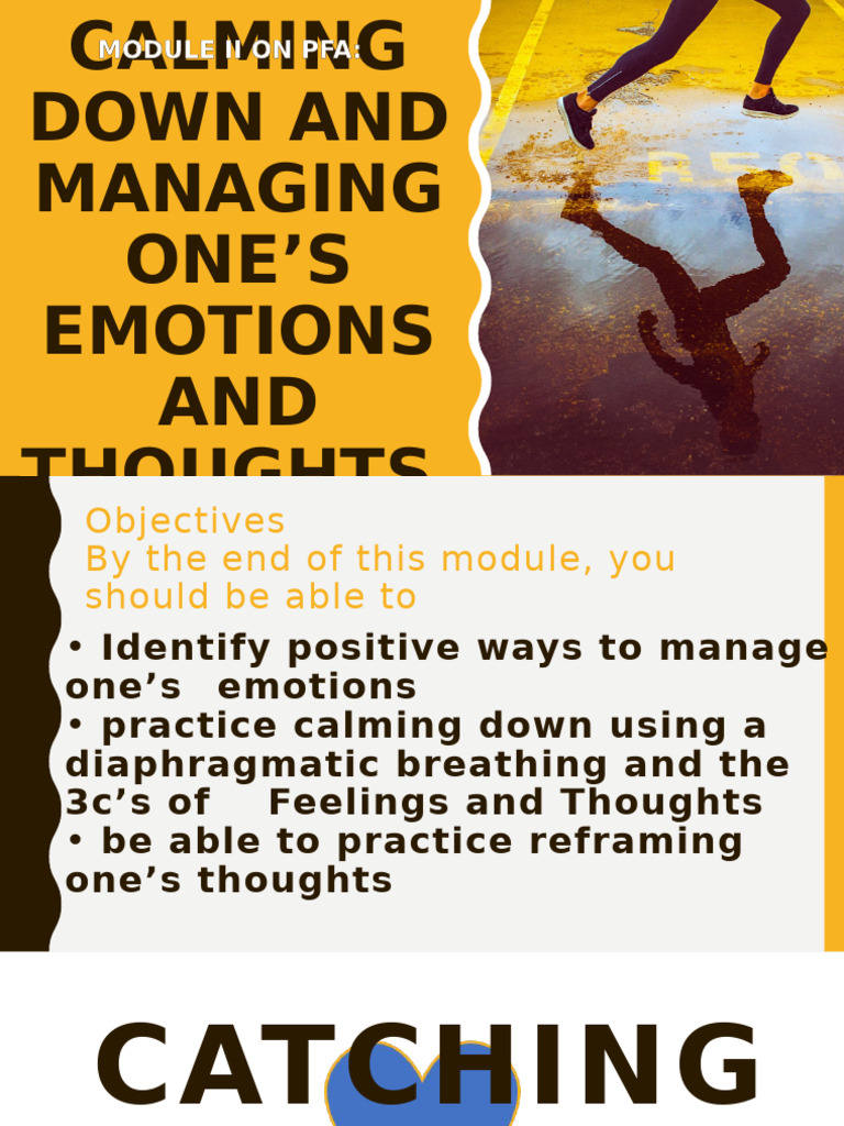 Pfa Module 2 | PDF | Feeling | Emotions