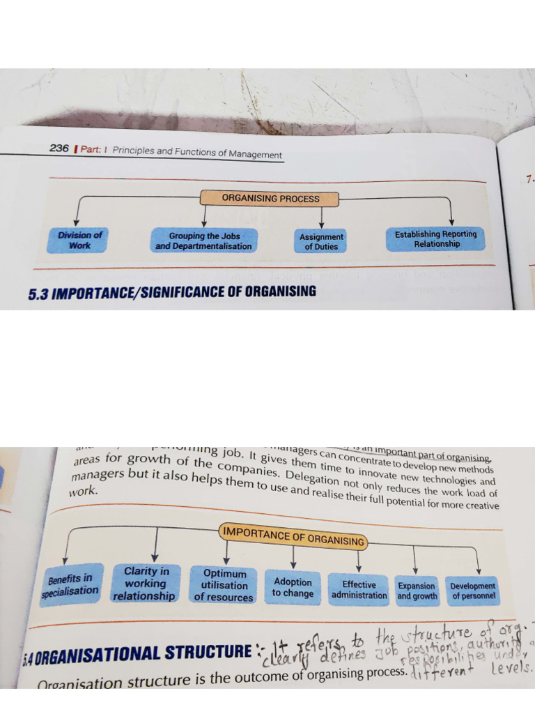 Organising Chapter Mind Maps | PDF