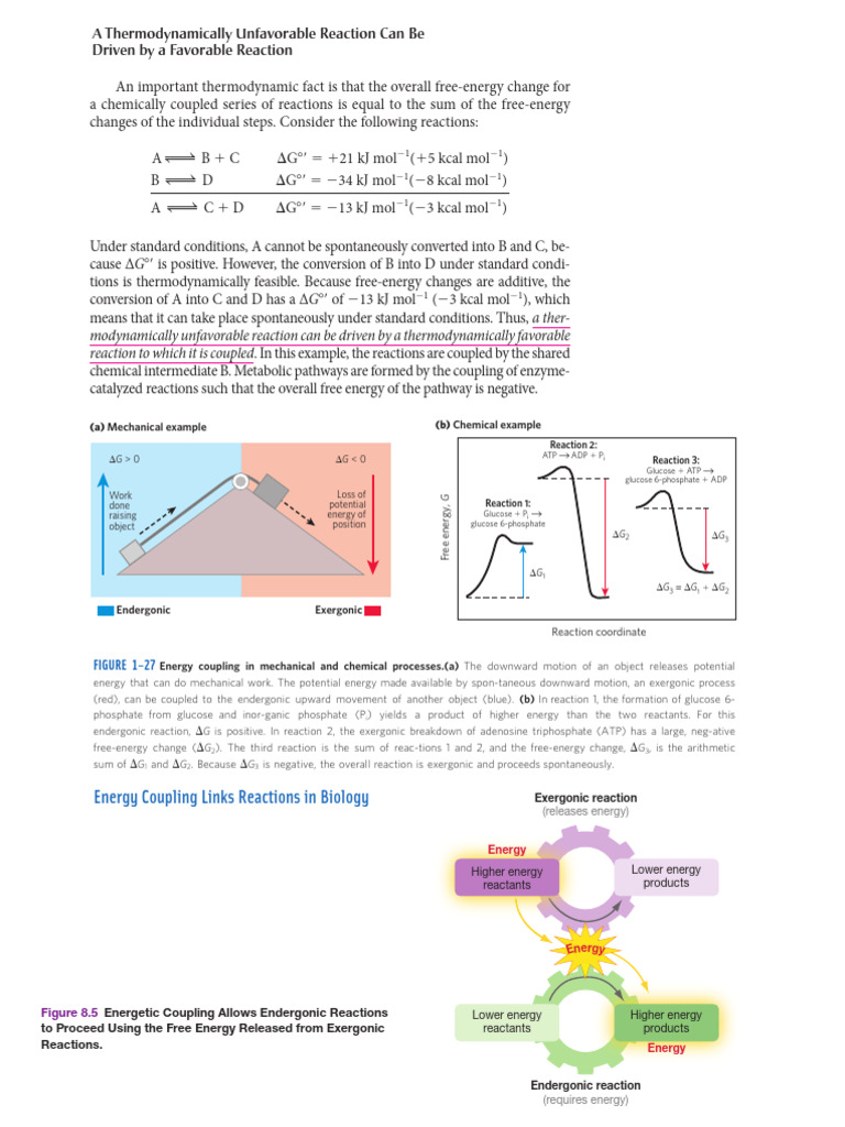 1 energy coupling | PDF | Gibbs Free Energy | Metabolic Pathway