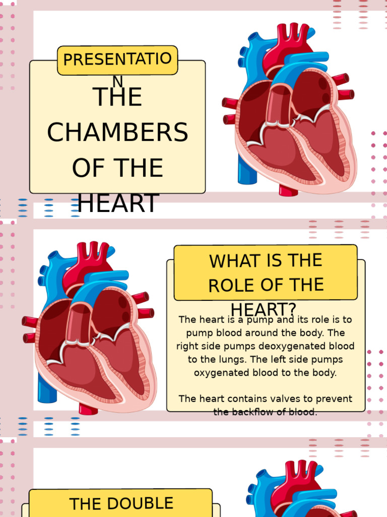 Understanding Heart Chambers and Function | PDF | Atrium (Heart ...