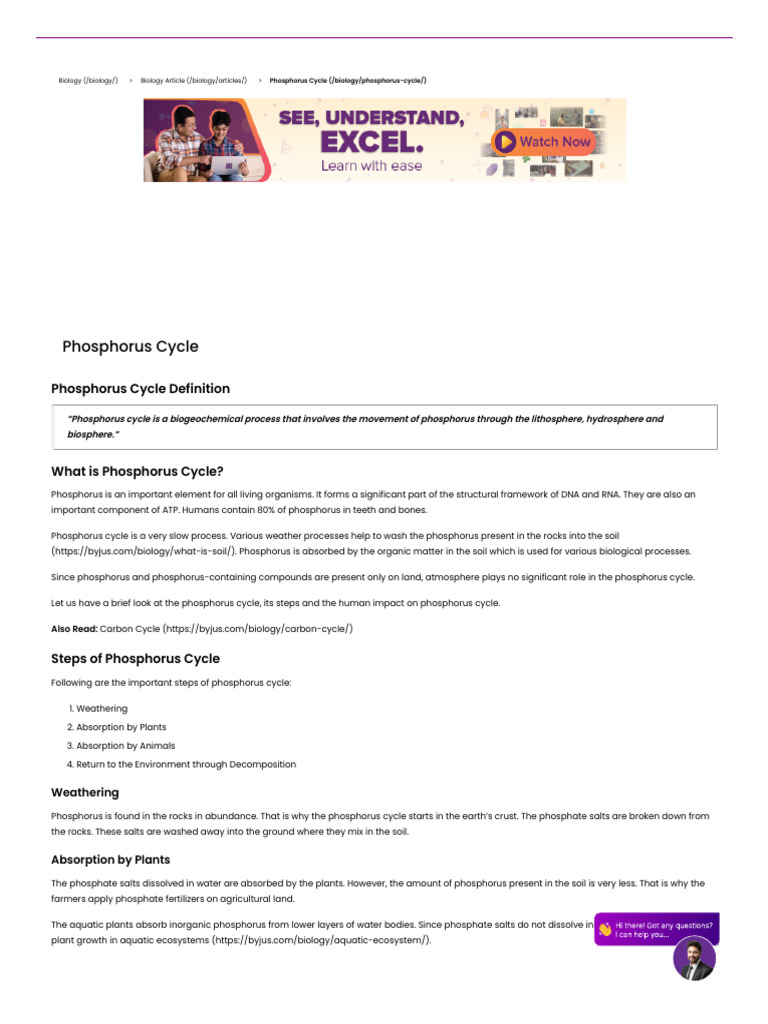 Phosphorus Cycle: Key Steps Explained | PDF | Phosphorus | Earth Sciences
