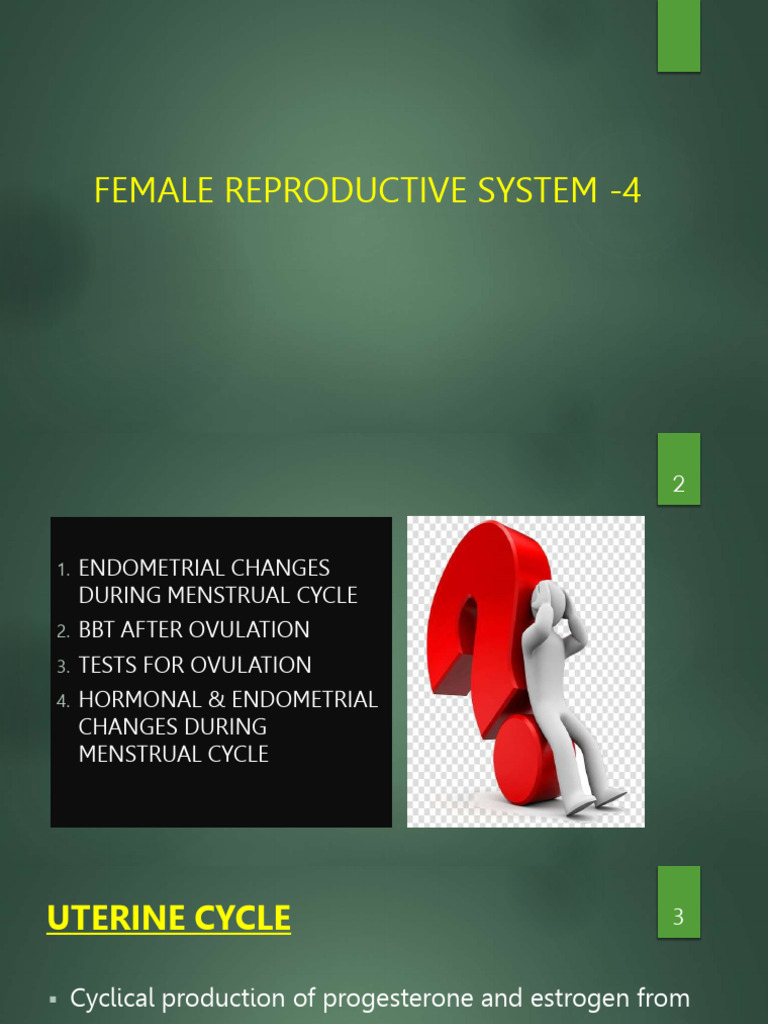Female Reproduction Mbbs 4 | PDF | Menstrual Cycle | Medical Specialties