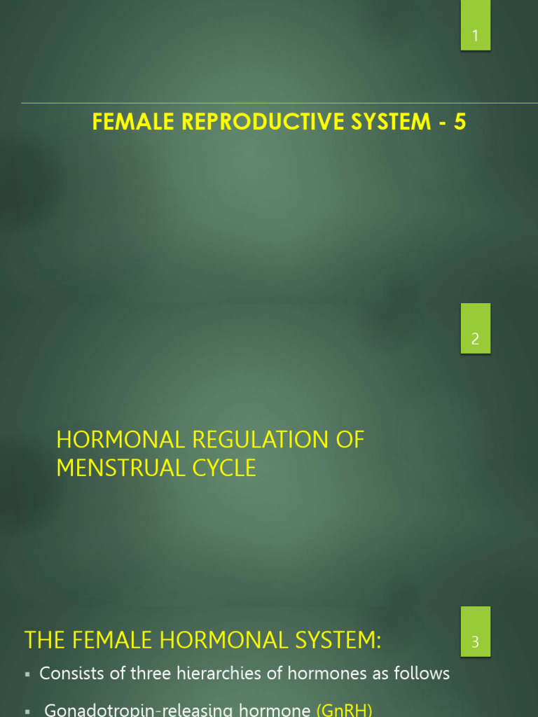 Female Reproduction Mbbs 5 | PDF | Luteinizing Hormone | Menstrual Cycle