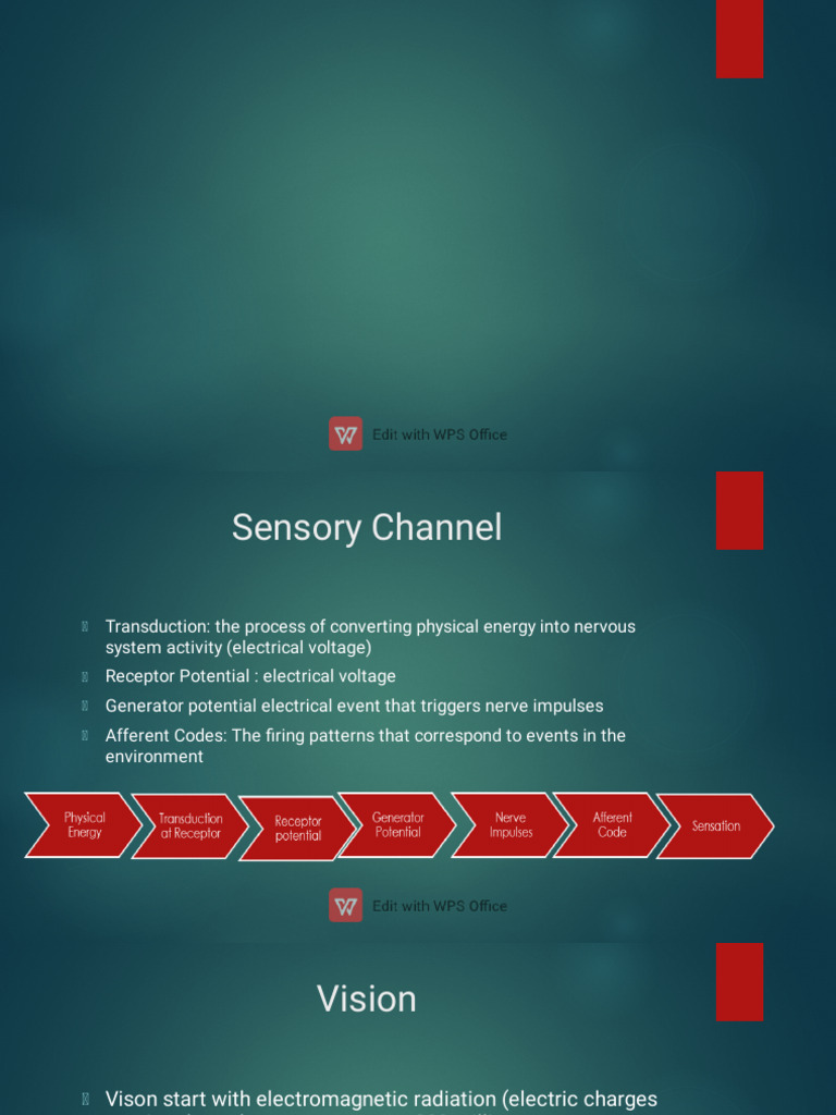 Unit IV | PDF | Taste | Hearing Unit IV | PDF | Taste | Hearing