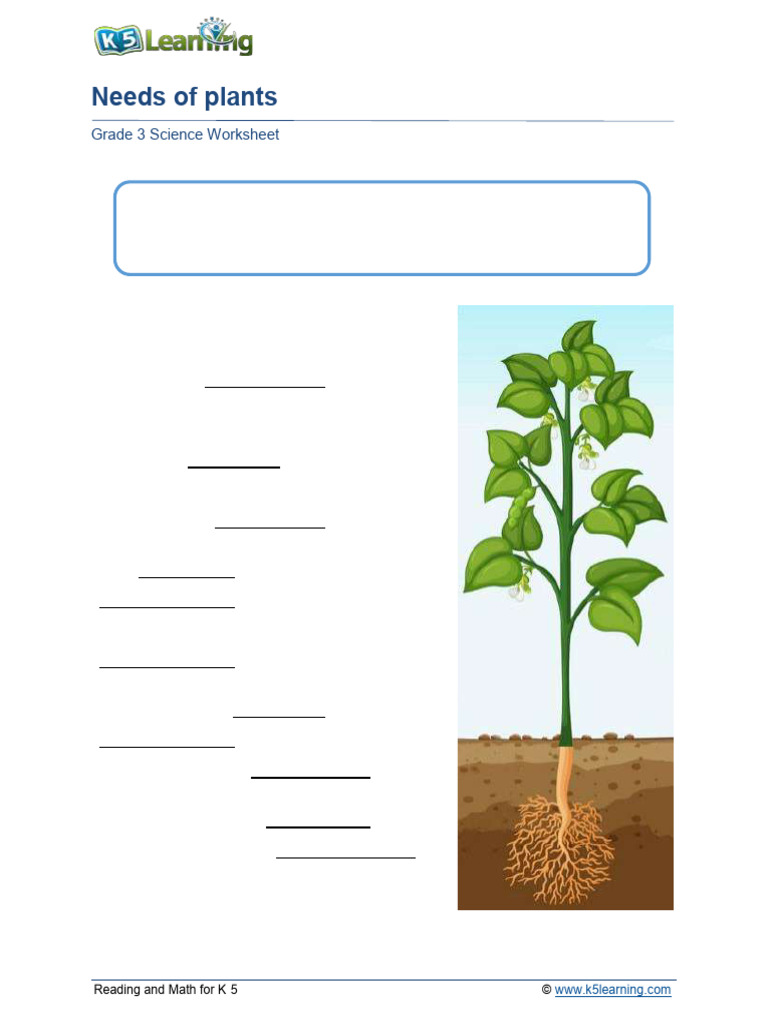 Needs of Plant To Grow Healthy | PDF