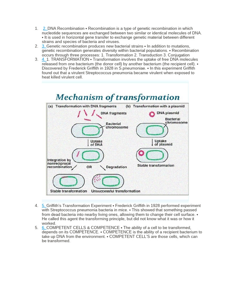 DNA Recombination in Prokaryotes | PDF | Bacteriophage | Transformation ...