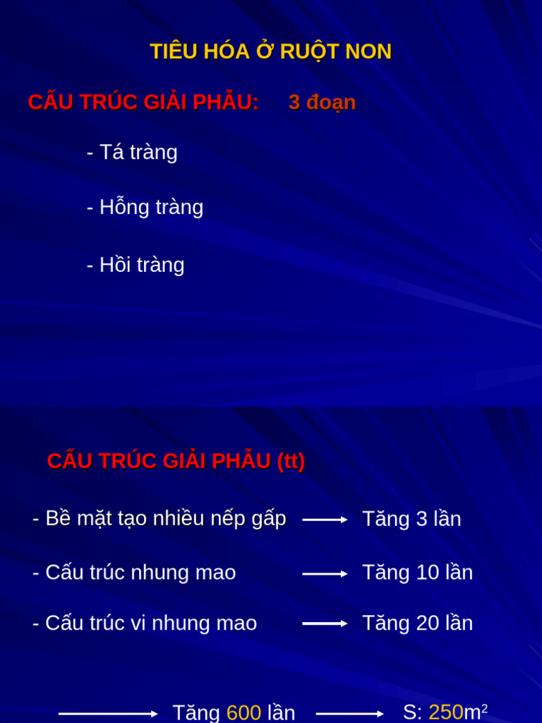 SL - 3 - Tiêu Hóa Ru T | PDF