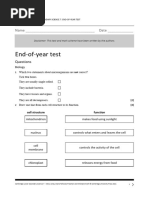 Holiday Homework LKG | PDF | Kindergarten