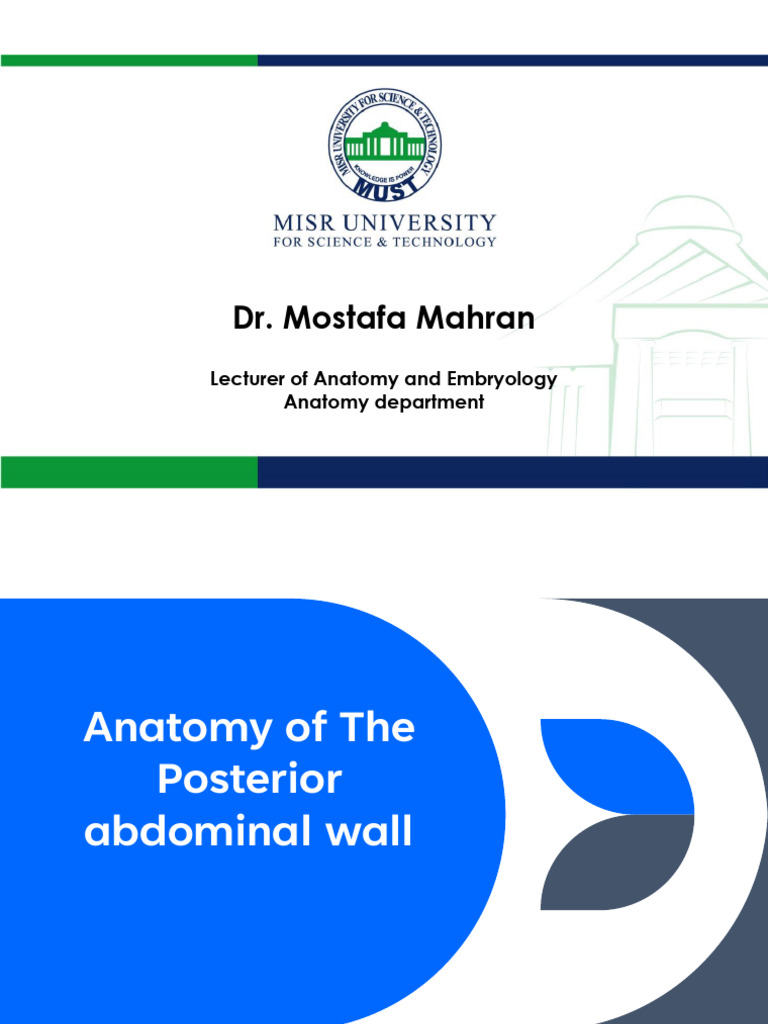 Anatomy of Diaphragm & Abdominal Wall | PDF | Musculoskeletal System ...