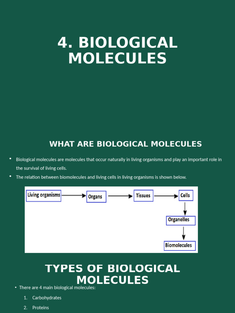 4.1 Biological Molecules | PDF | Dna | Biomolecules