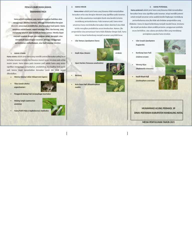 Hama Tanaman Padi: Pengelompokan dan Dampaknya | PDF