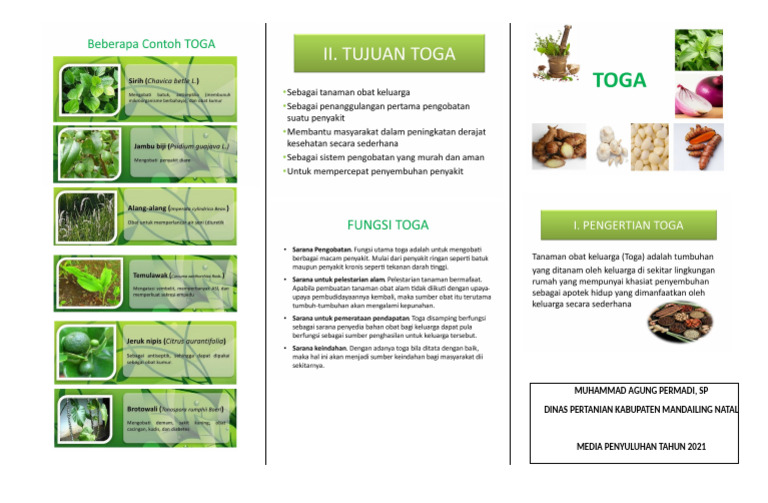 Brosur 05 TOGA | PDF