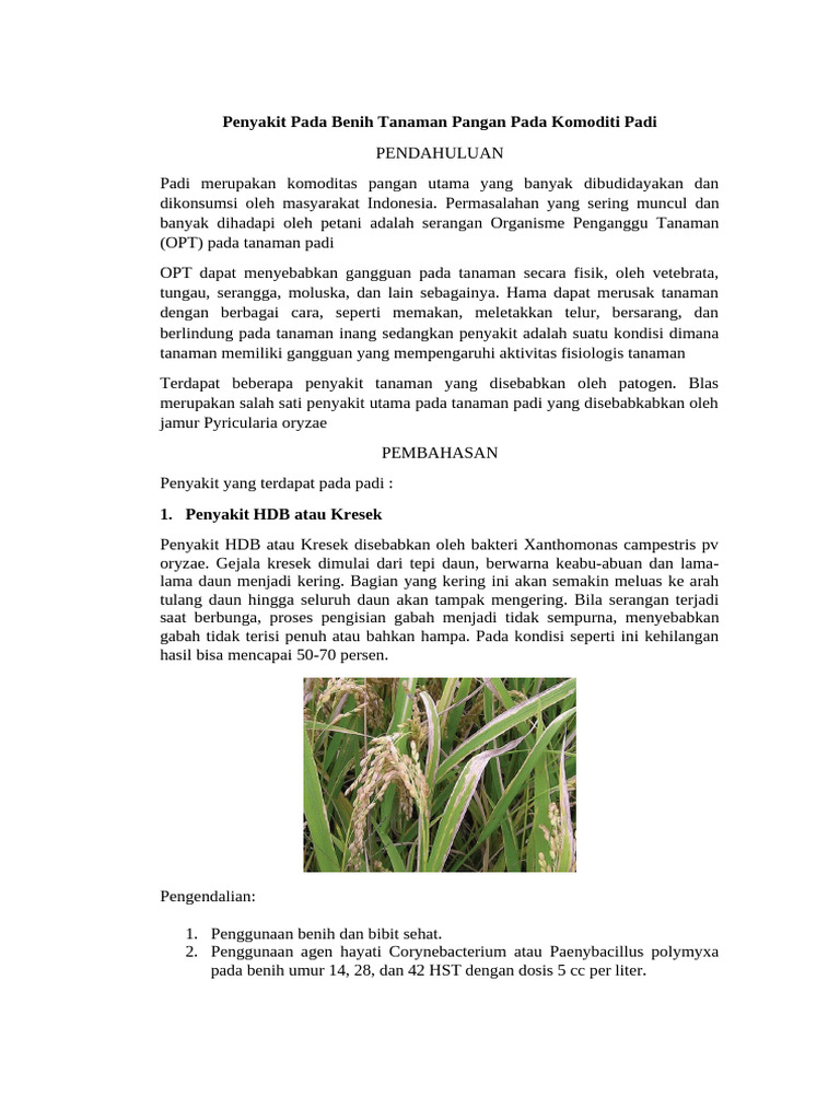 Materi PPT Reni Syah Anggi | PDF