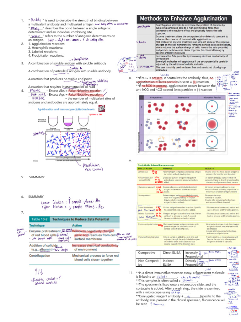 Immunosero October 19 | PDF | Antibody | Hiv
