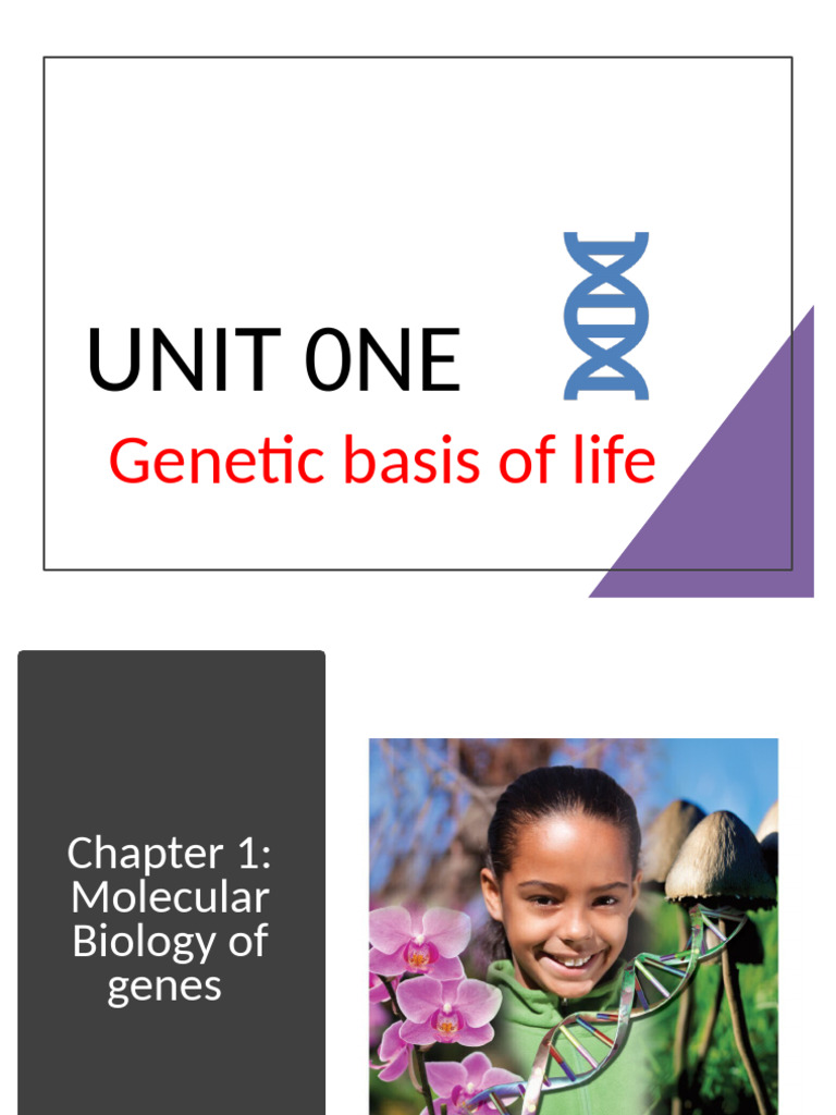 g12, Dna Discovery Sept, 2024 | PDF | Dna | Nucleotides