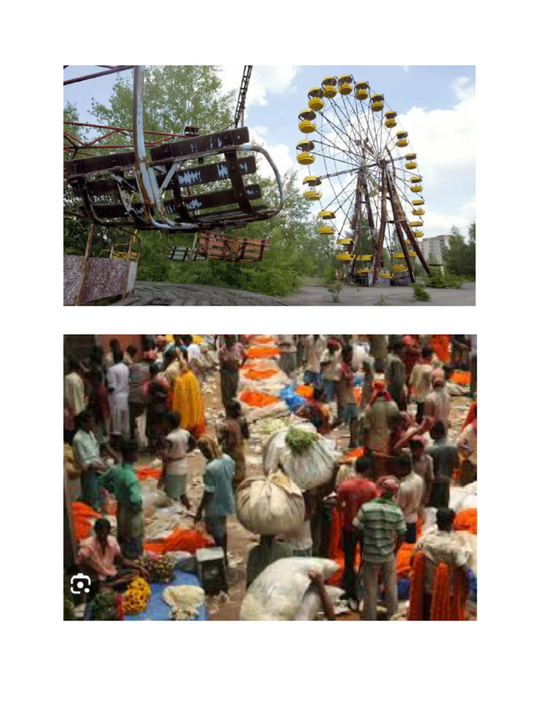 Picture Perception | PDF