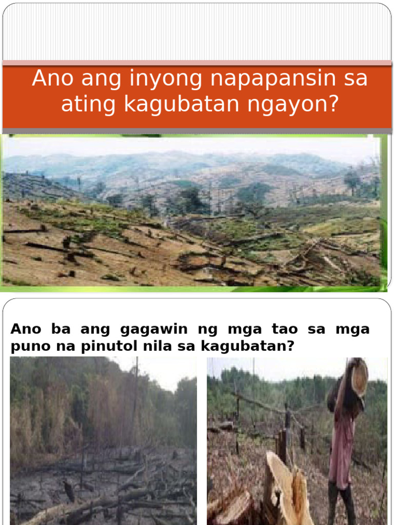 Ap4 - Yamang Gubat W-3 | PDF