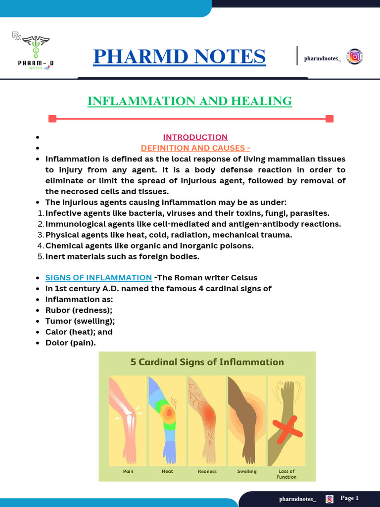Acute Inflammation - 20241031 - 122506 - 0000 | PDF | Inflammation ...