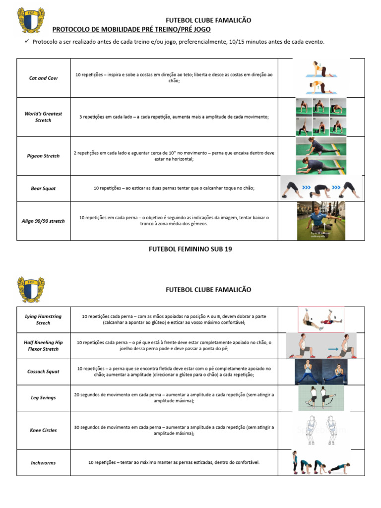 Protocolo de Mobilidade Pré Treino | PDF