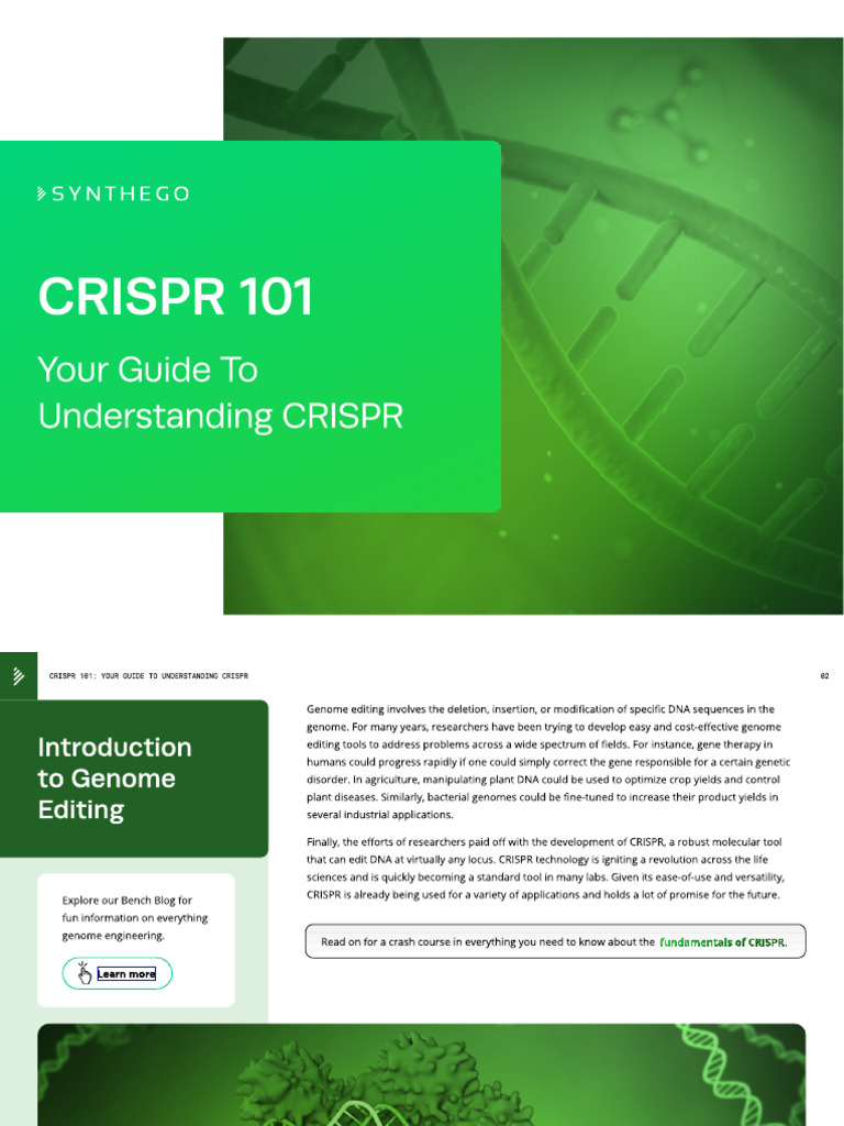 CRISPR+101 Your+Guide+to+Understanding+CRISPR 2024Q1 | PDF | Crispr ...